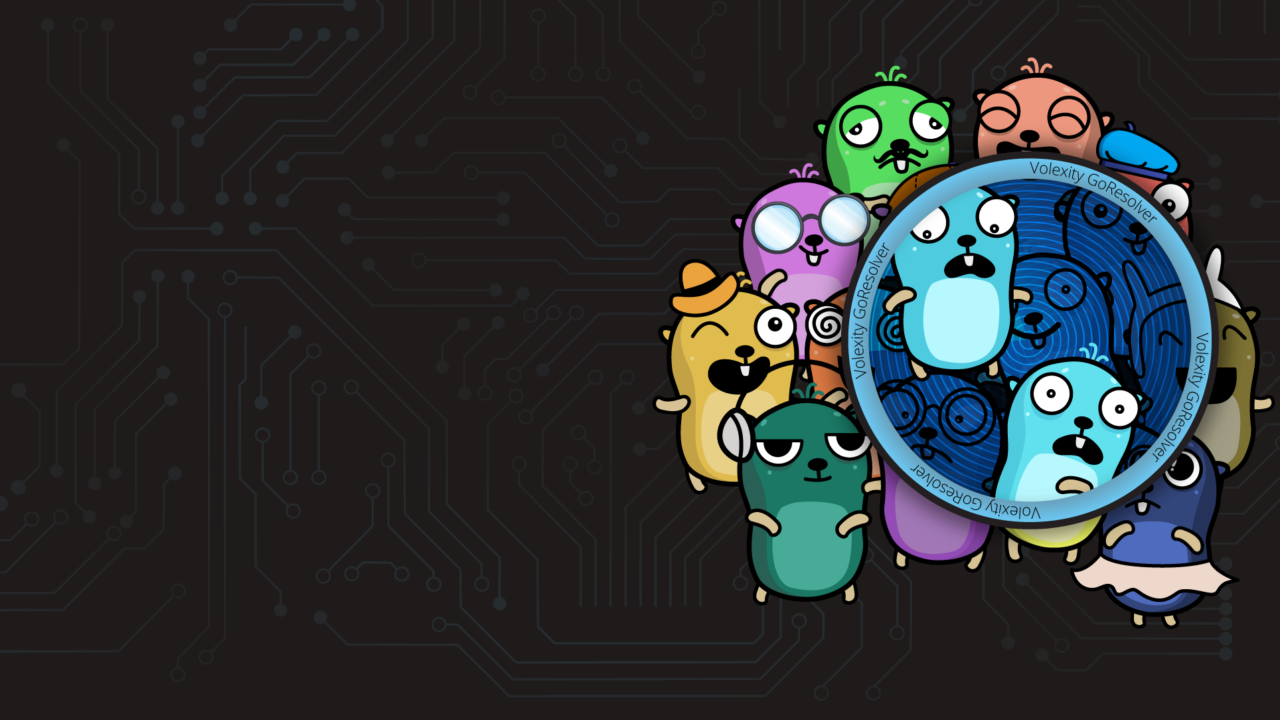 GoResolver: Using Control-flow Graph Similarity to Deobfuscate Golang Binaries, Automatically ...
