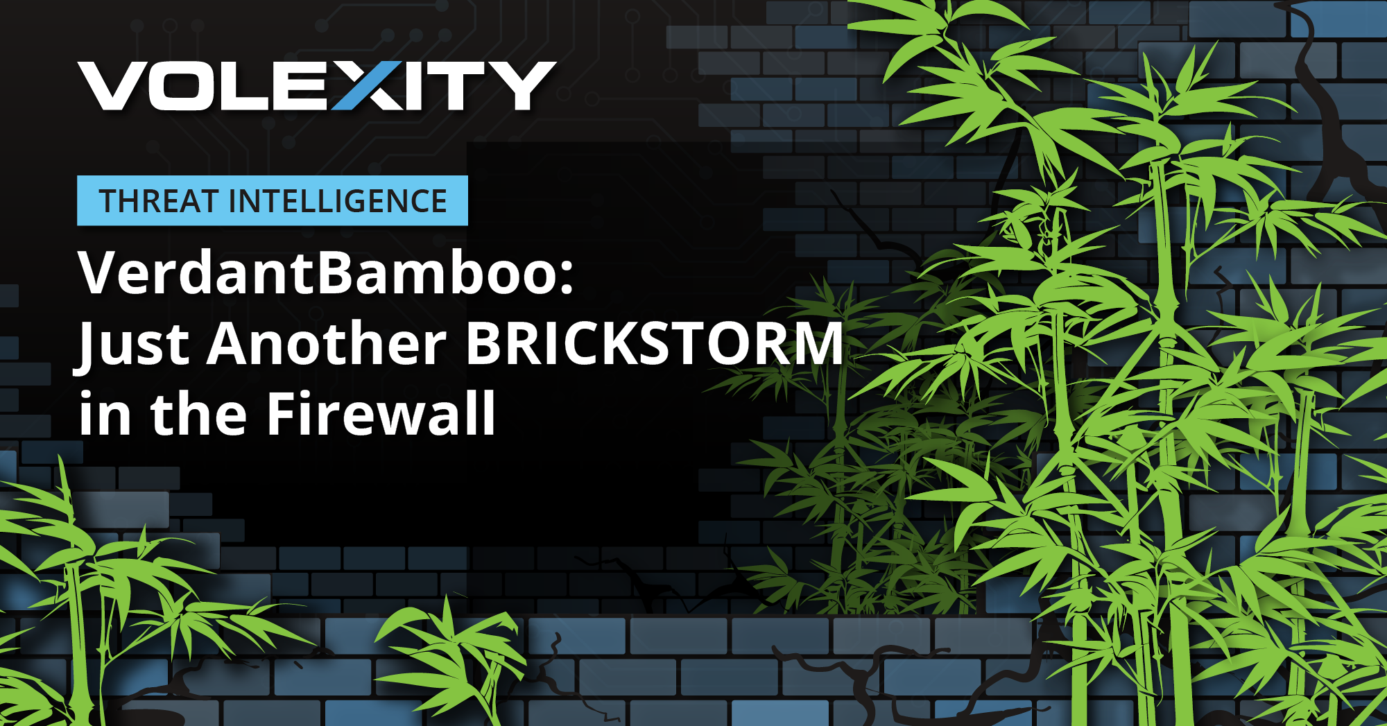 VerdantBamboo: Just Another BRICKSTORM in the Firewall | Volexity